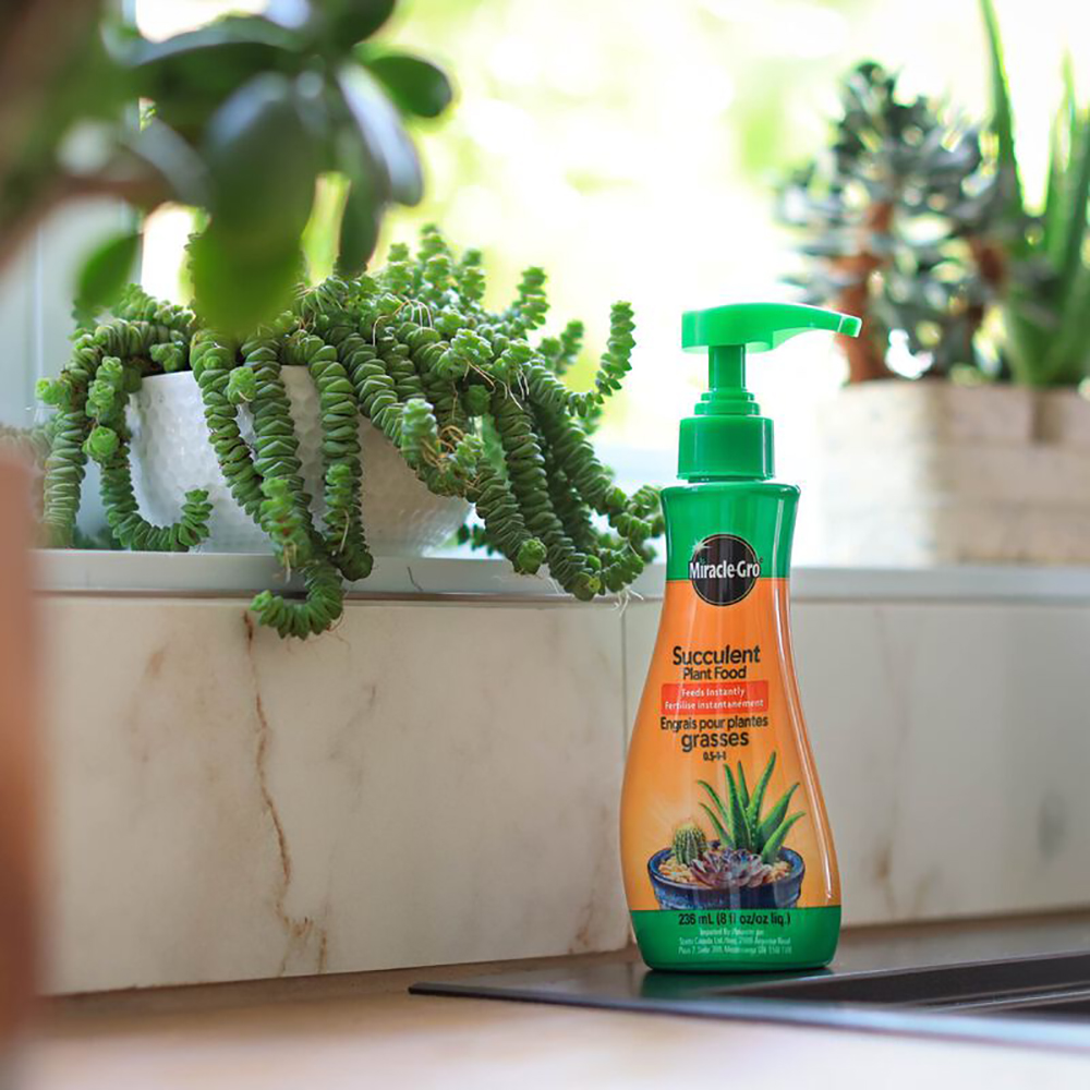 Miracle-Gro Succulent Plant Food 0.5-1-1 236mL