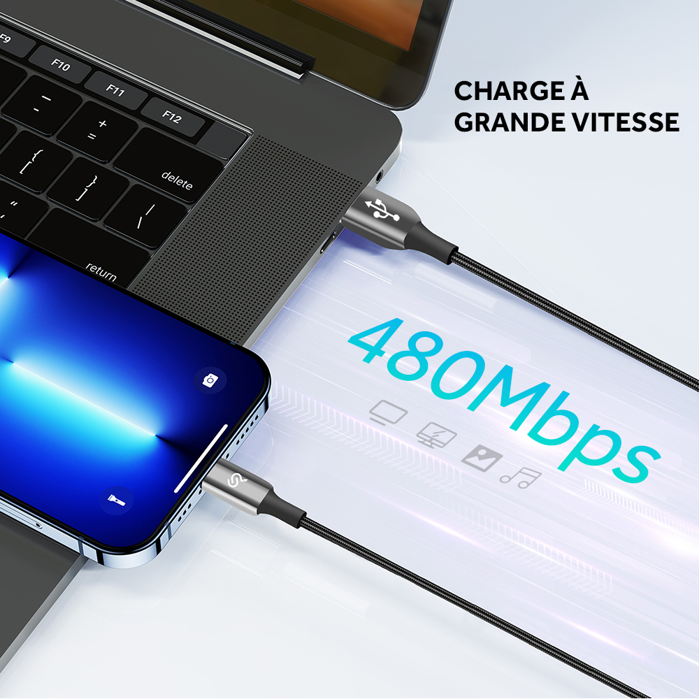 Câble USB Type-c vers USB Type-a -4FT- Chargement et synchronisation rapides