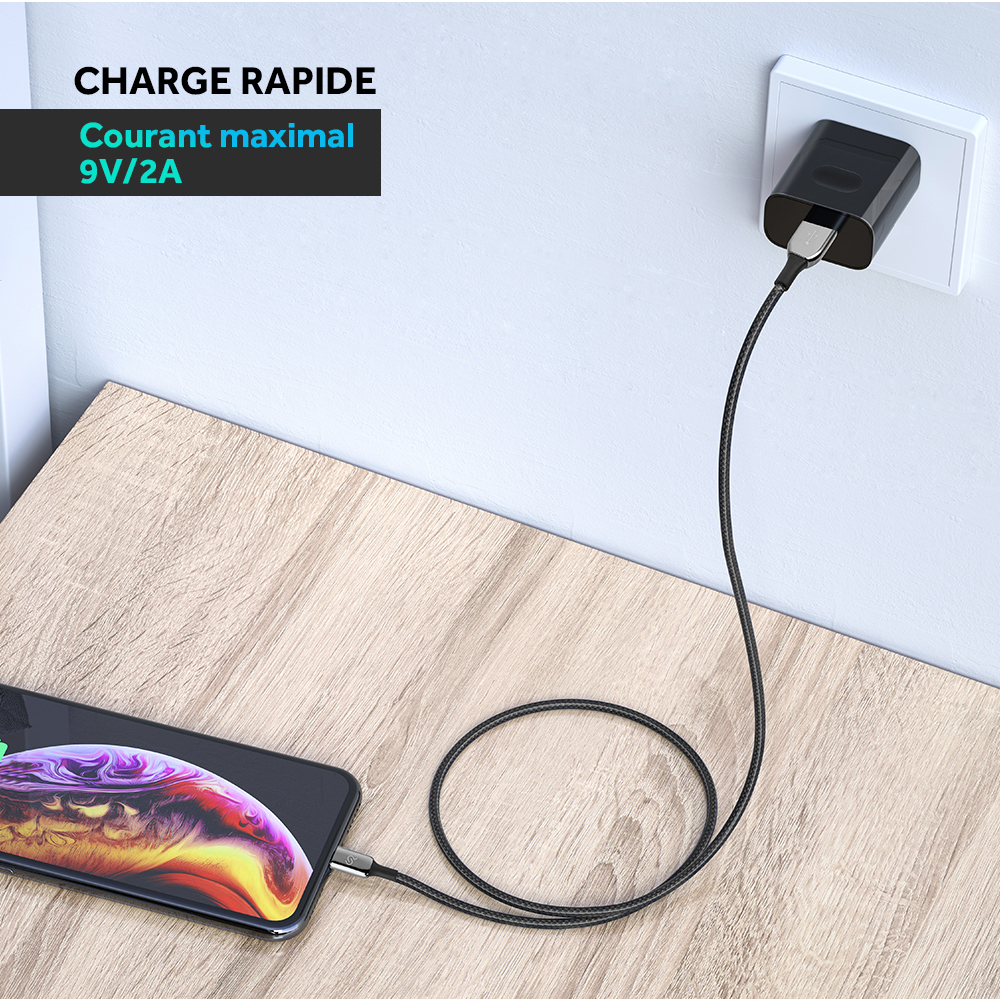 Câble de charge rapide USB-C vers USB-A, 4FT