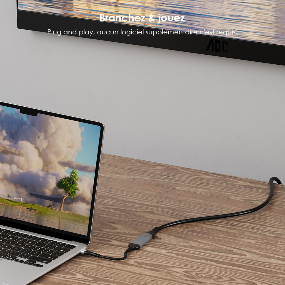 Adaptateur USB C vers HDMI 2.1 Adaptateur 8K @ 60 Hz Type C mâle vers ...