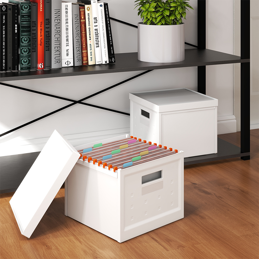 Moustache Letter Size File Organizer with Lid & Folders