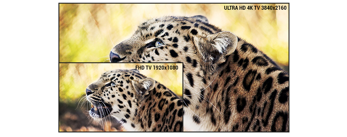 PrimeCables® 55'' 4K UHD DLED TV with IPS LCD Panel Television-Open box