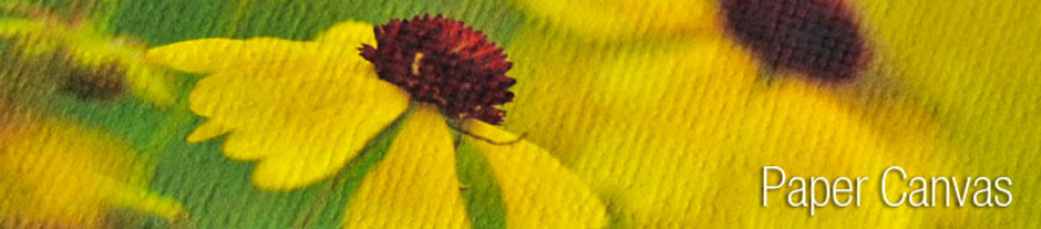 Canvas Resin Coated Photo Paper, 8.5" x 11", 20 Sheets/Pack, 260gsm ...