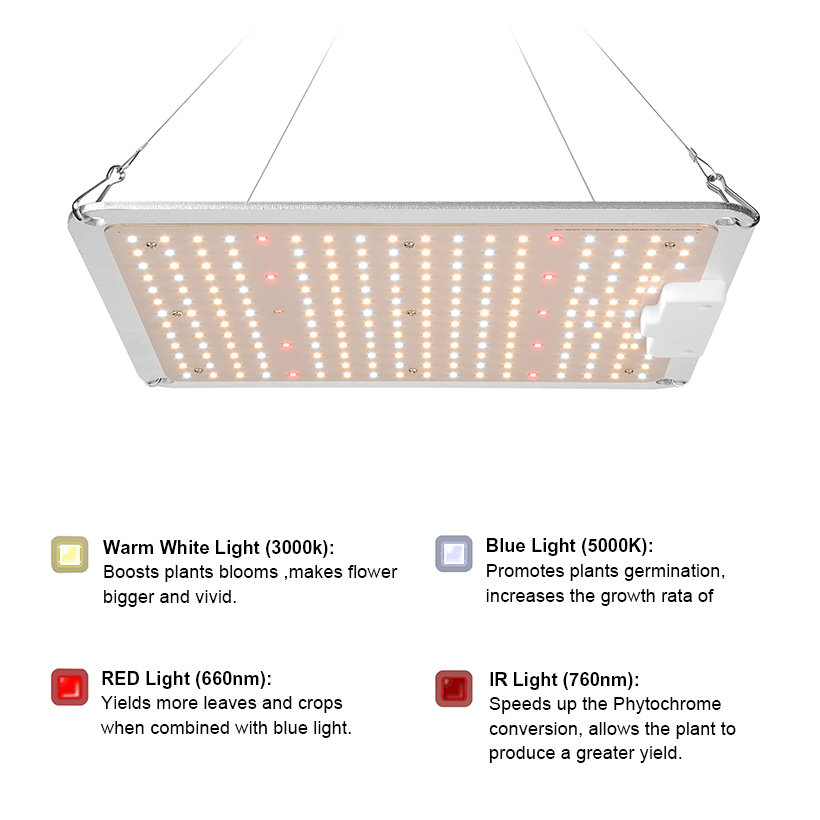 LED Grow Light with Samsung Chips & Mean Well Driver - LIVINGbasics®