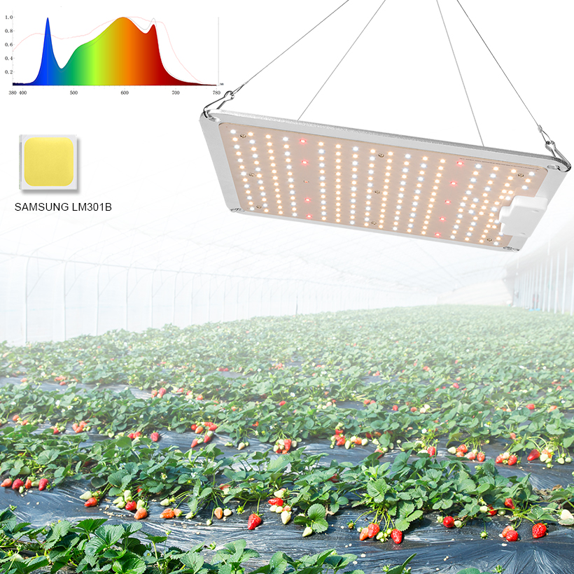 LED Grow Light with Samsung Chips & Mean Well Driver - LIVINGbasics®