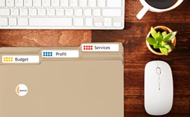 Avery® Laser / Inkjet File Folder Labels - Multi Colors