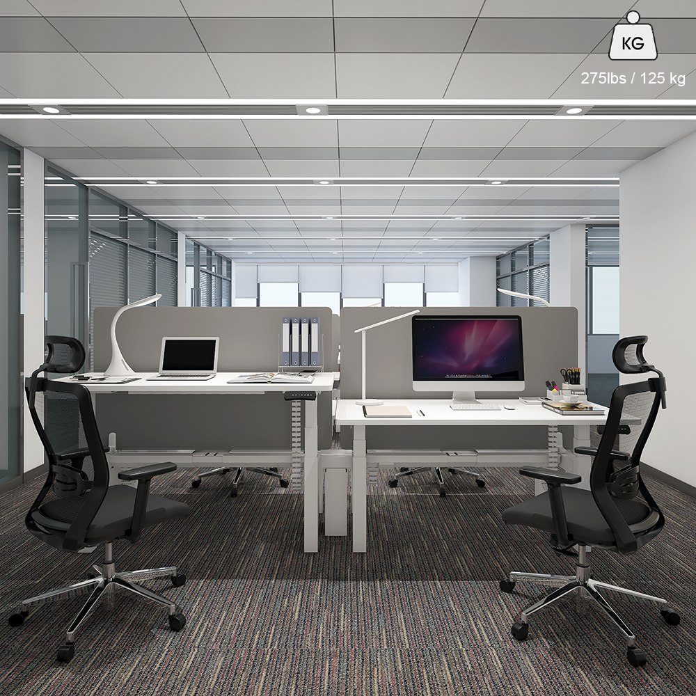 Sit-Stand Height Adjustable Electric Frame Dual Motor Dual Workstation ...