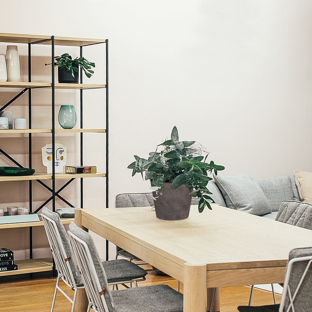 10" Round Planter Pot, Plastic Sleek Bulb Pan with Drainage Hole, Set ...