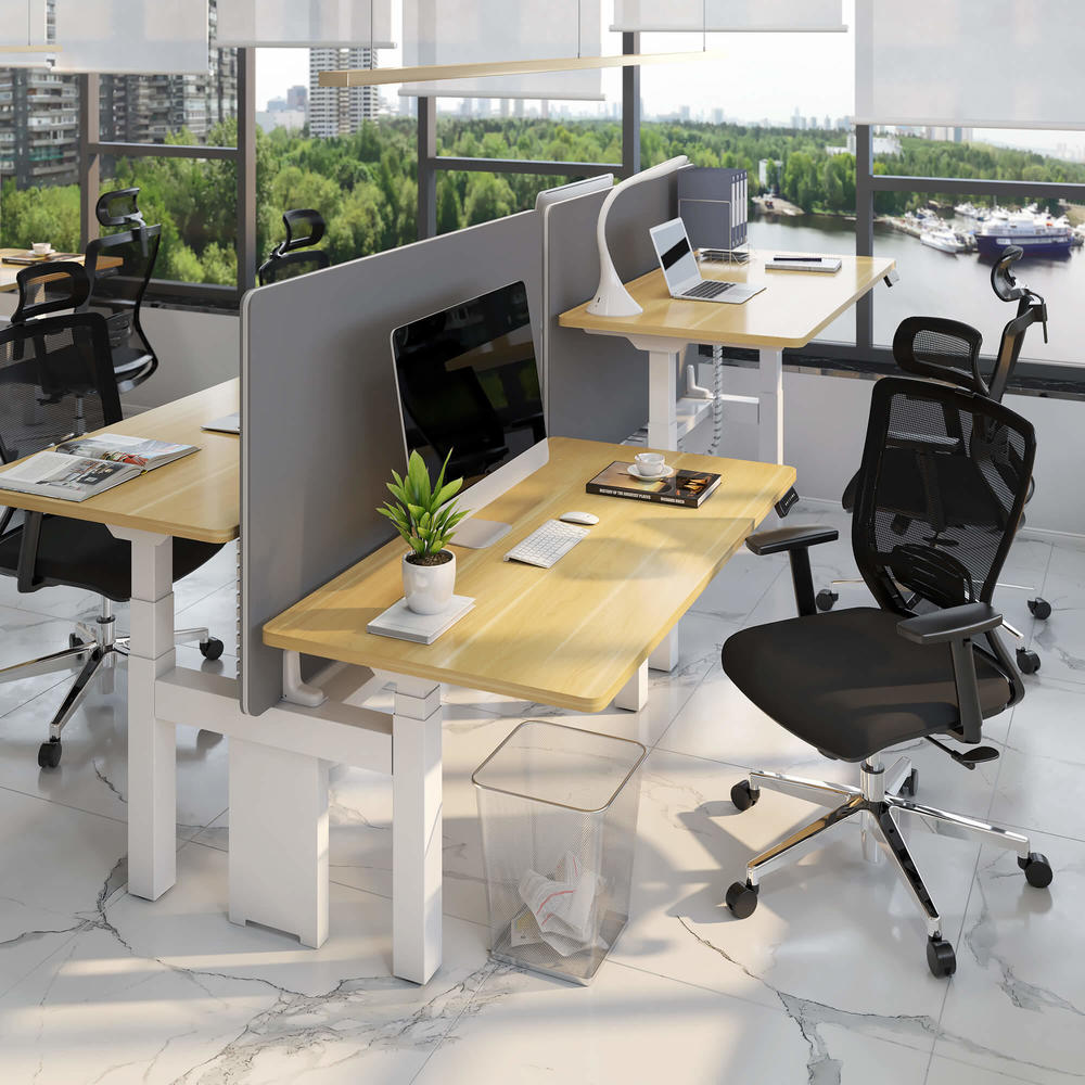Sit-Stand Height Adjustable Electric Frame Dual Motor Dual Workstation ...