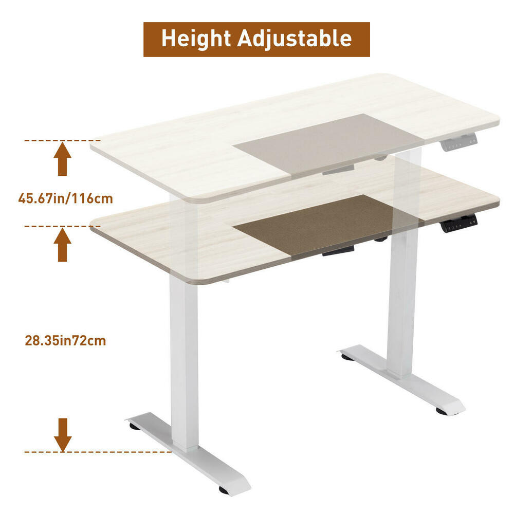 Sit-Stand Single-Motor Height Adjustable Desk Frame with Tabletop ...