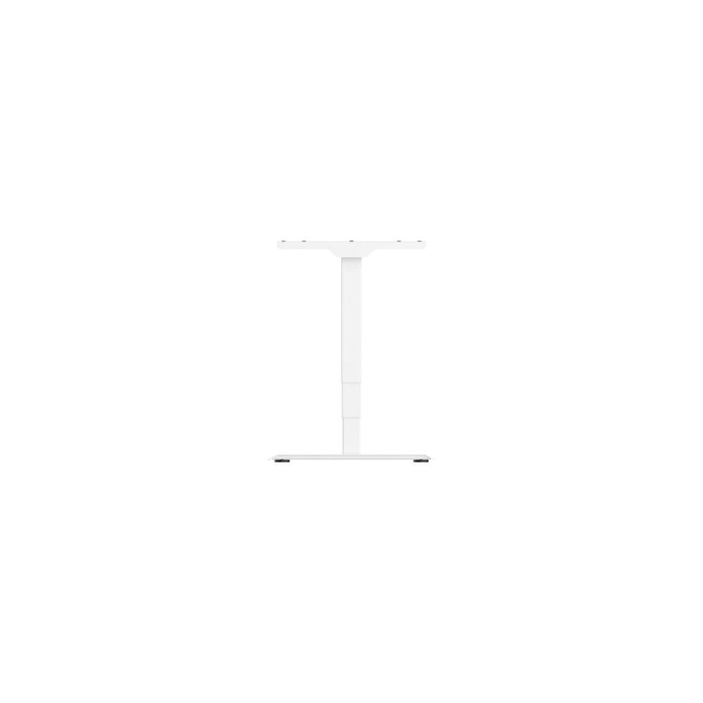 PrimeCables® Electric Height Adjustable Standing Desk-White