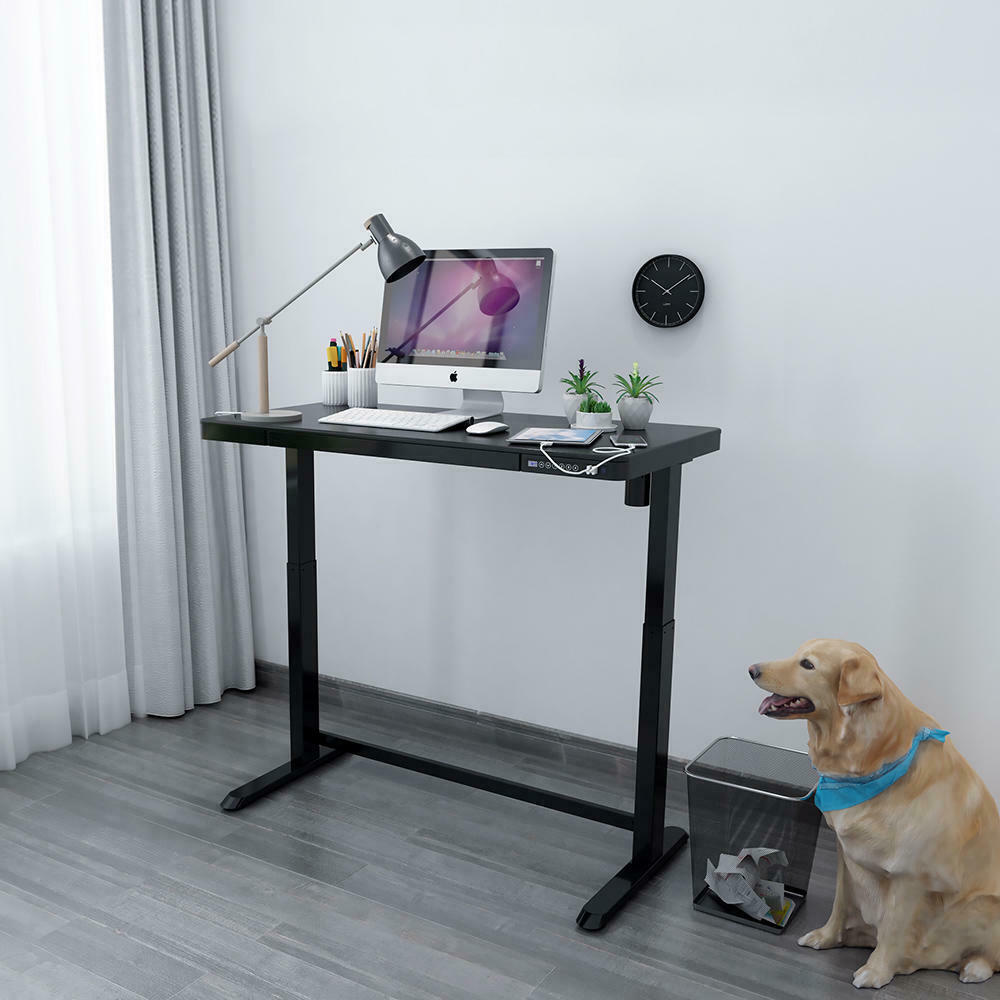 Ergo Standing Desk (Included Table Top) All-in-One Sit-Stand Height ...