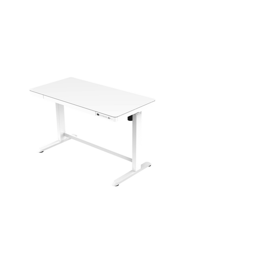Ergo Standing Desk (Included Table Top) All-in-One Height Adjustable ...