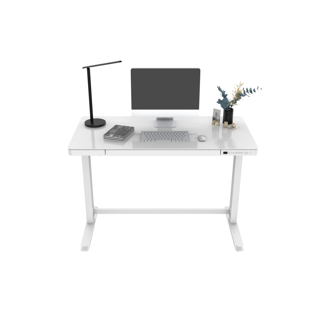 Ergo Standing Desk (Included Table Top) All-in-One Height Adjustable ...