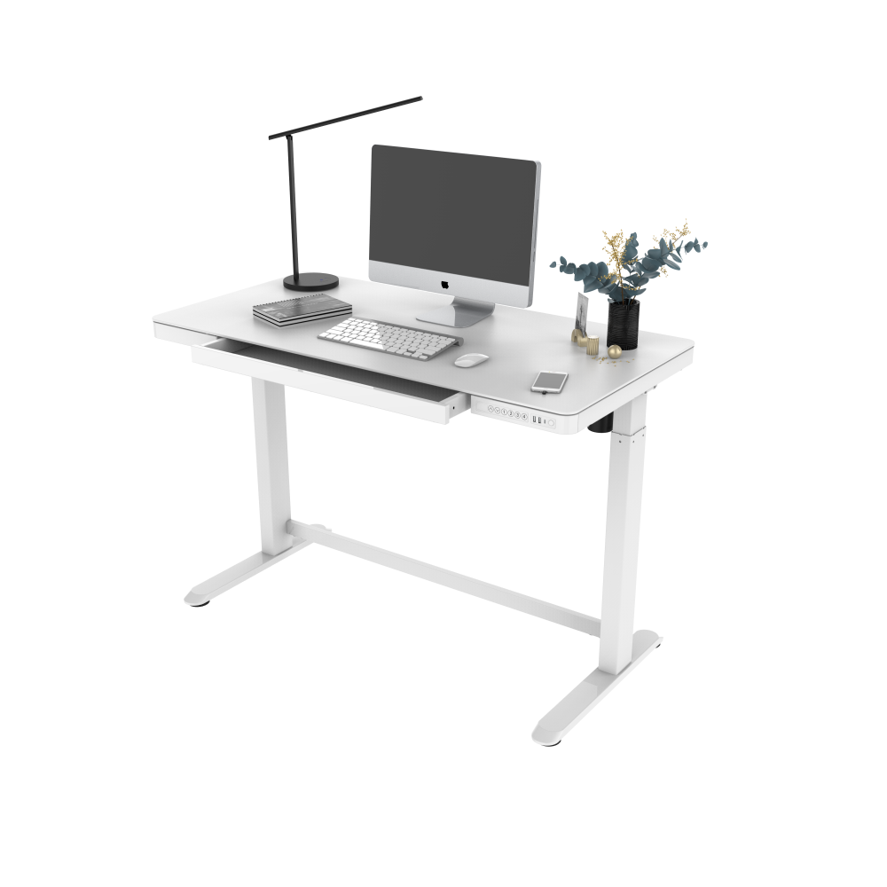 Ergo Standing Desk (Included Table Top) All-in-One Height Adjustable ...