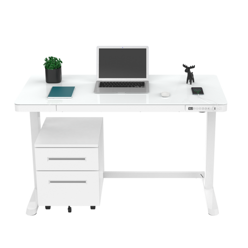 Ergo Standing Desk (Included Table Top) All-in-One Height Adjustable ...