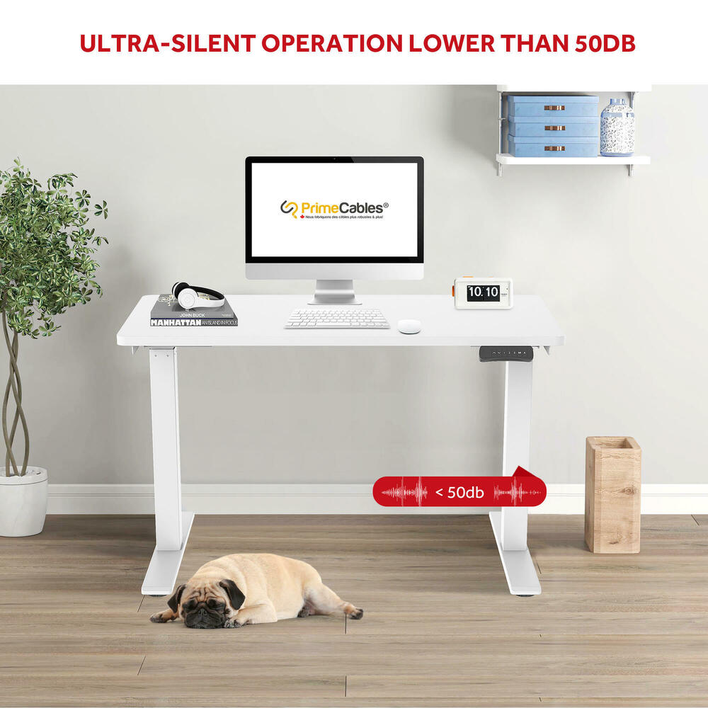 Ergonomic Electric Sit-Stand Dual-Motor Height Adjustable Desk Frame ...