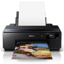 Buy Epson SureColor P600 Printer Ink Cartridges