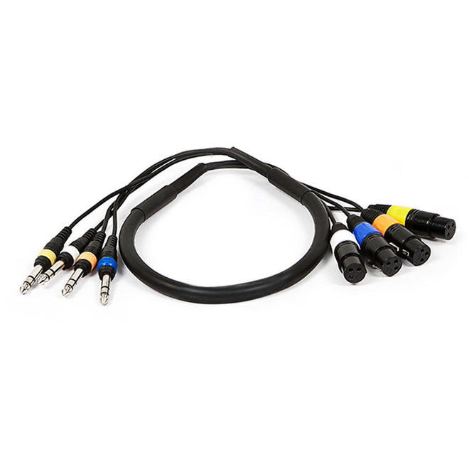 4-Channel TRS Male to XLR Female Snake Cable (4 lengths available ...