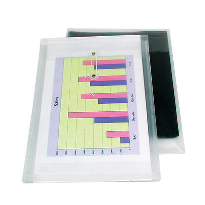 Winnable Translucent Expandable Envelope with String Tie, Letter/Legal