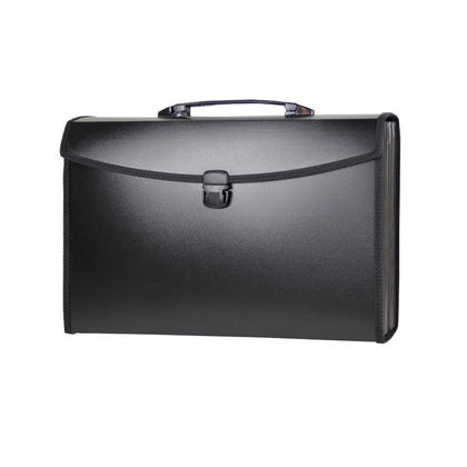 Winnable® Portable Expanding Files with Flexible Handle and Lock, Legal