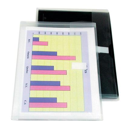 Winnable Translucent Expandable Envelope, Velcro closure / String tie