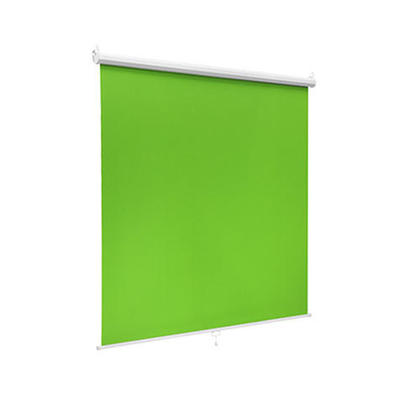 Green Projector Screen 180x200cm Gaming Streaming Home Theatre ...