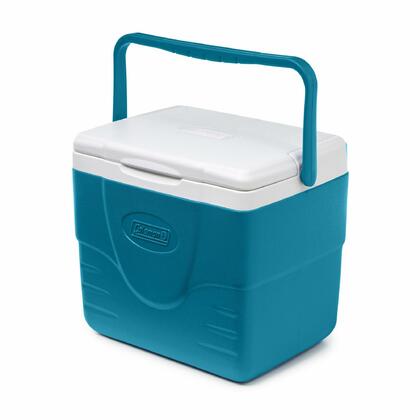 Insulated Portable Cooler Lunch Box with Heavy Duty Handle, Ocean Blue ...