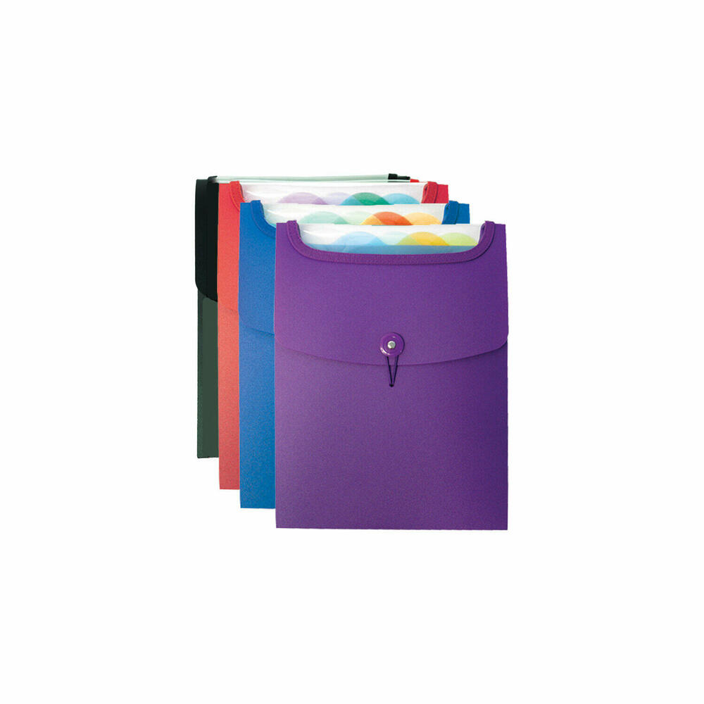Winnable Letter Expanding File 8 1 2 X 11 Assorted Colours