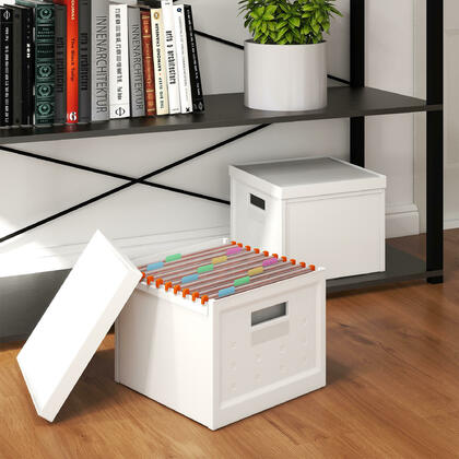 Durable Letter Size File Box with Lid & Folders - Moustache