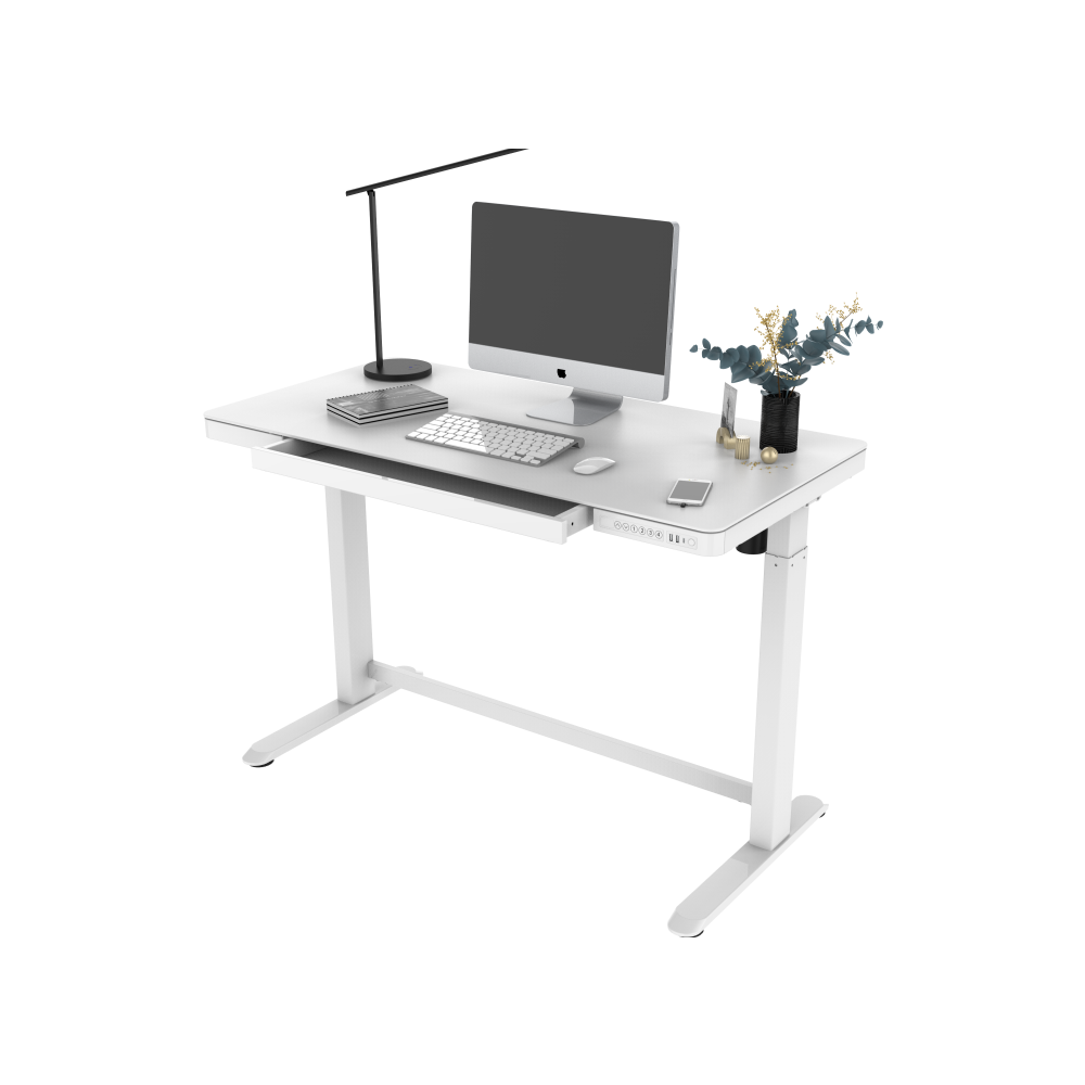 Ergonomic Electric Height Adjustable Standing Desk - PrimeCables